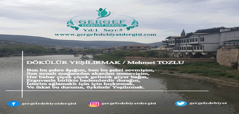 ŞİİRLER GERGEF EDEBİYAT DERGİSİ
